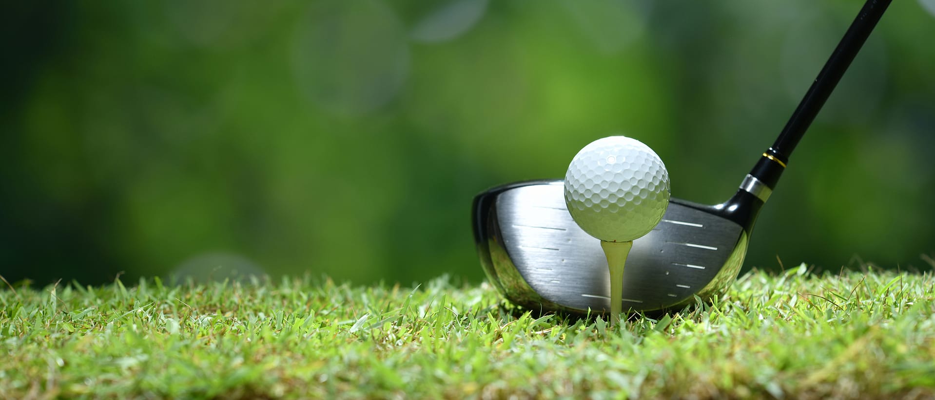 Annual Award Winners – NIHGA