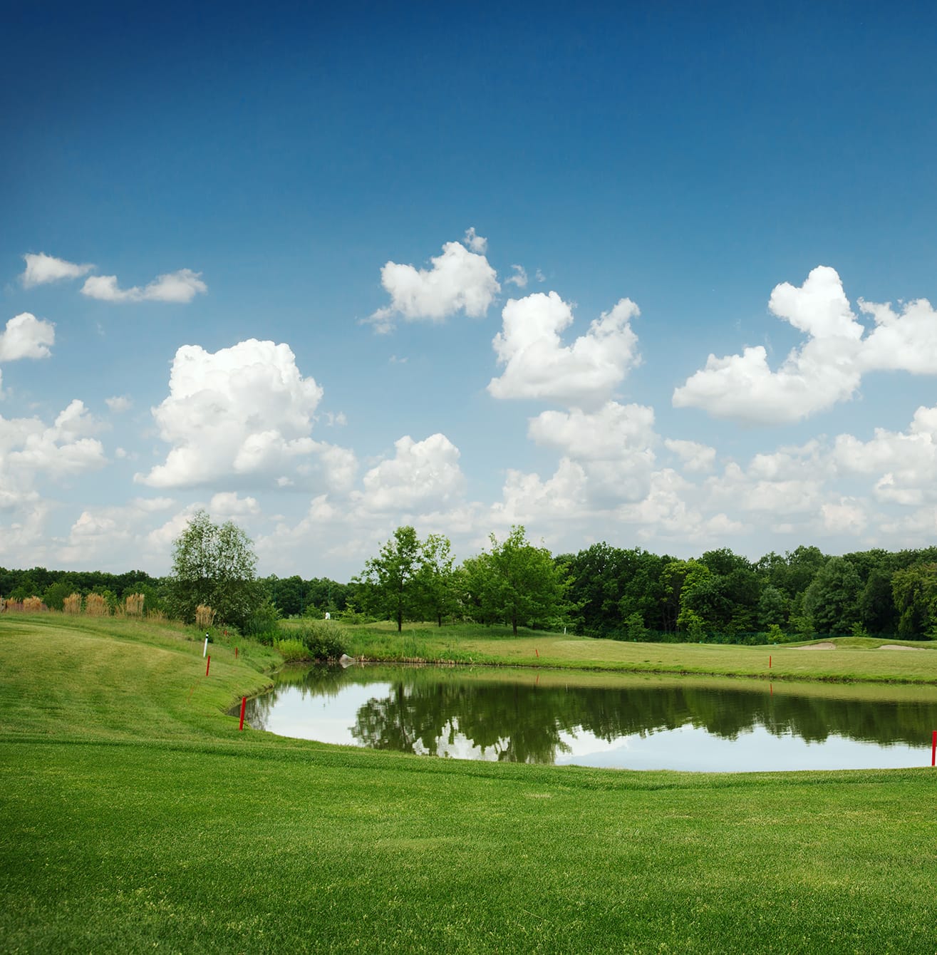 Golf Courses – NIHGA